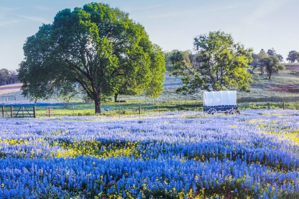 17 best places to visit in the US in March 2025 - Pure Balance Life