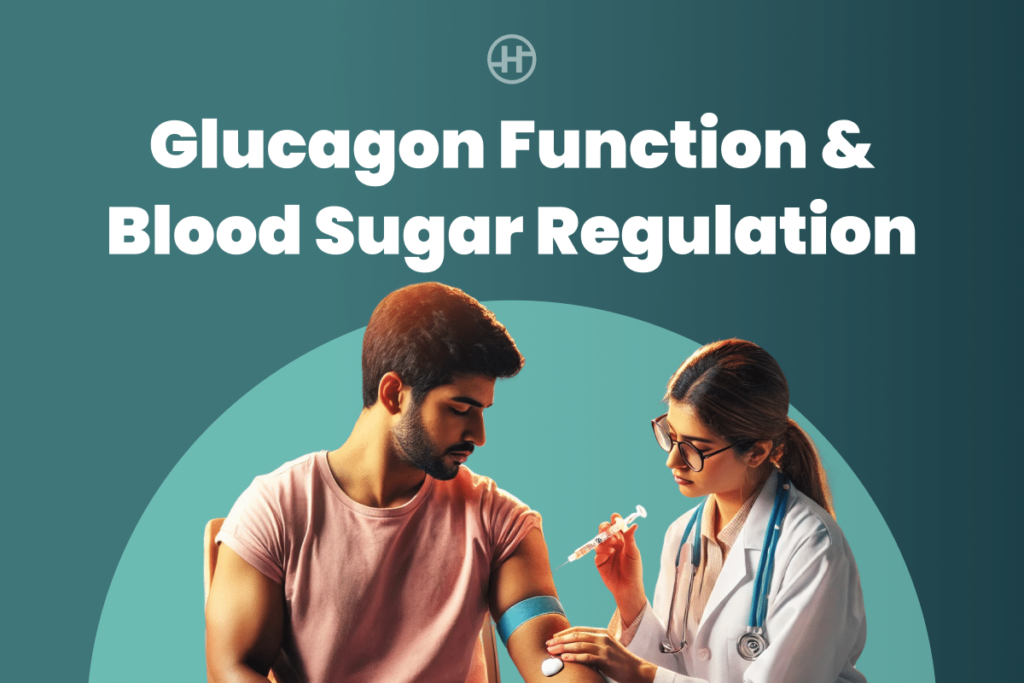 Understanding Glucagon Function In Blood Sugar Regulation - Pure ...